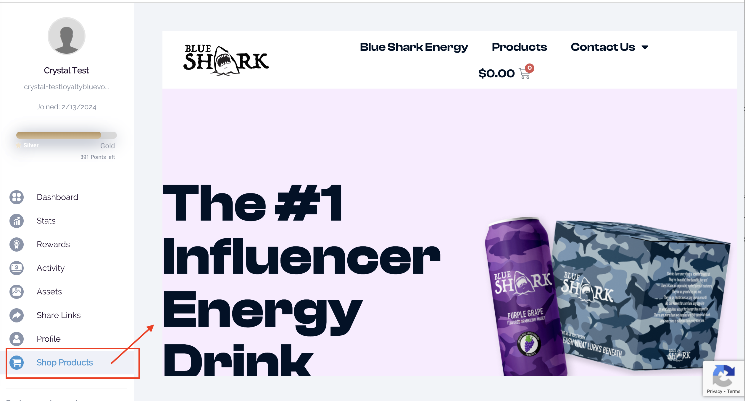Portal Settings - How to enable a custom tab & iframe or profile link